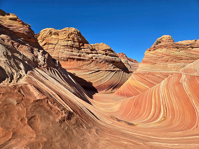 Nature's perfect curves: The Wave showcases how wind and water can transform sandstone into flowing art that photographers travel worldwide to capture.