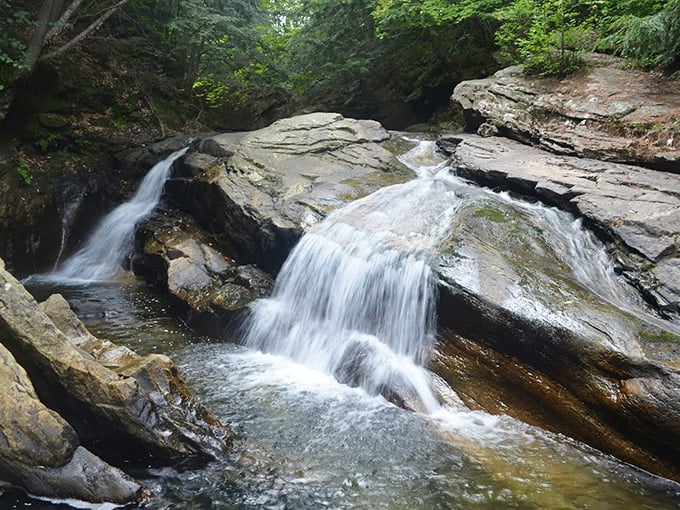 Forest path promises: every step along this trail builds anticipation, the sound of rushing water growing louder with each footfall.