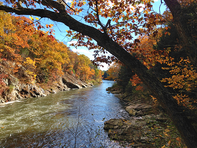 Sunlight filters through the dense forest canopy, creating an ethereal atmosphere along the quiet trail.