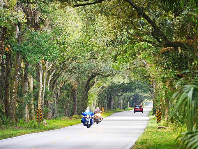 Motorcyclists and cyclists particularly love the Martin Grade, where the journey itself becomes the destination under the protective green canopy.