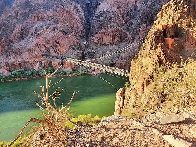 The trail to Phantom Ranch winds through desert vegetation, a reminder that you're now in a completely different climate zone.