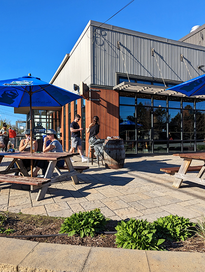Sun-dappled brewery patios become Burlington's summer living rooms, where craft beers and conversations flow with equal enthusiasm.
