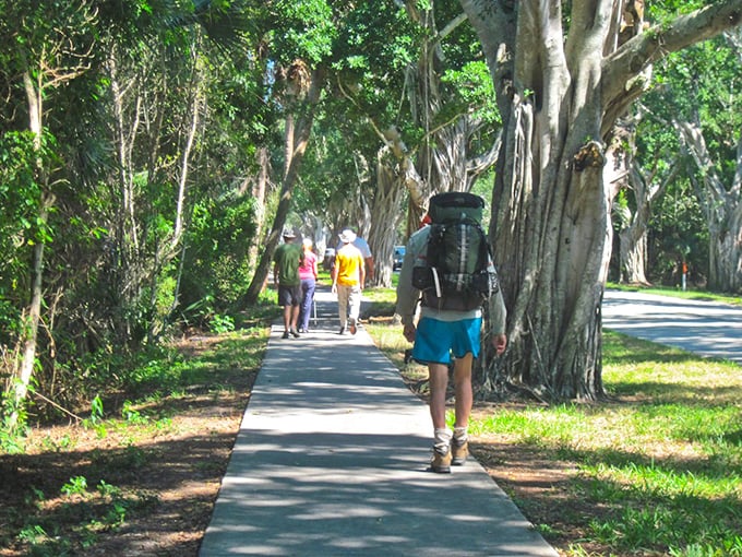 Walking beneath the banyan canopy, you'll understand why locals fight to preserve Hobe Sound's old Florida charm.