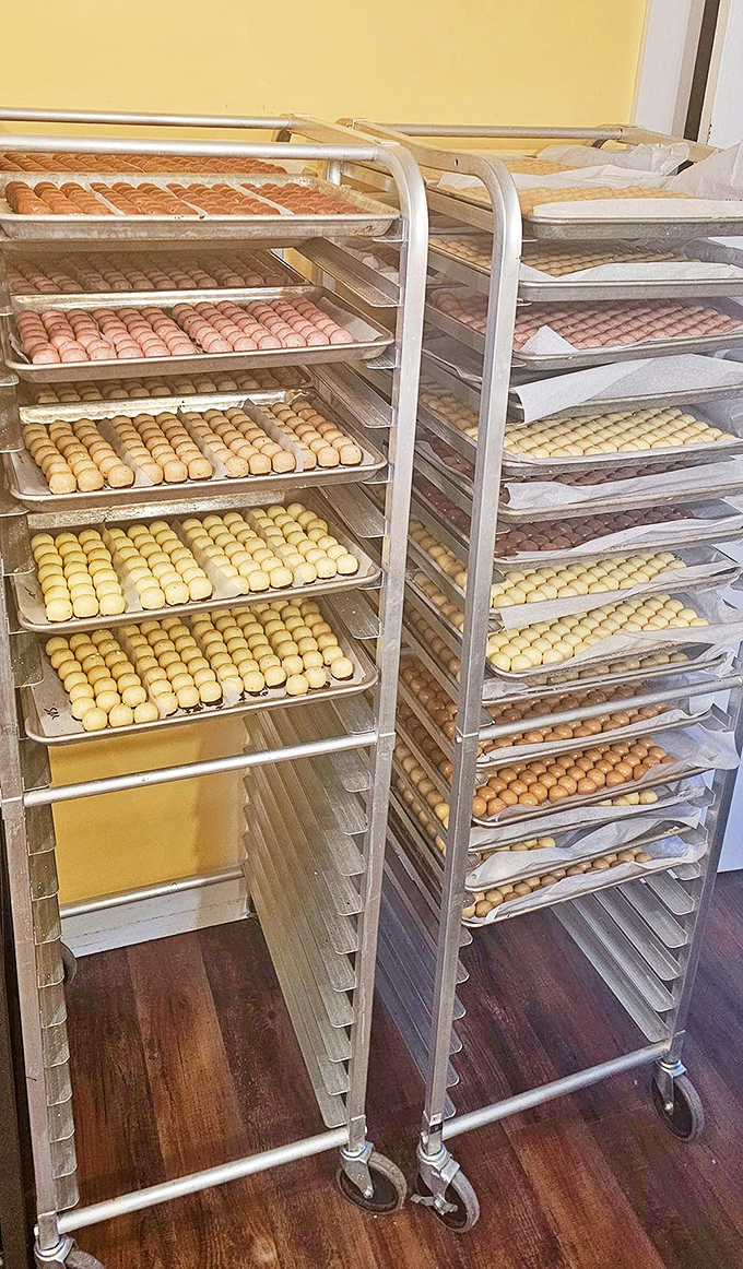 Behold the nursery where chocolate dreams are born! These racks of perfectly aligned treats are the Vermont version of Fort Knox.