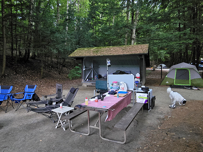 Camp life perfected: where morning coffee tastes better, simple meals become feasts, and that camping chair feels more comfortable than any luxury recliner.