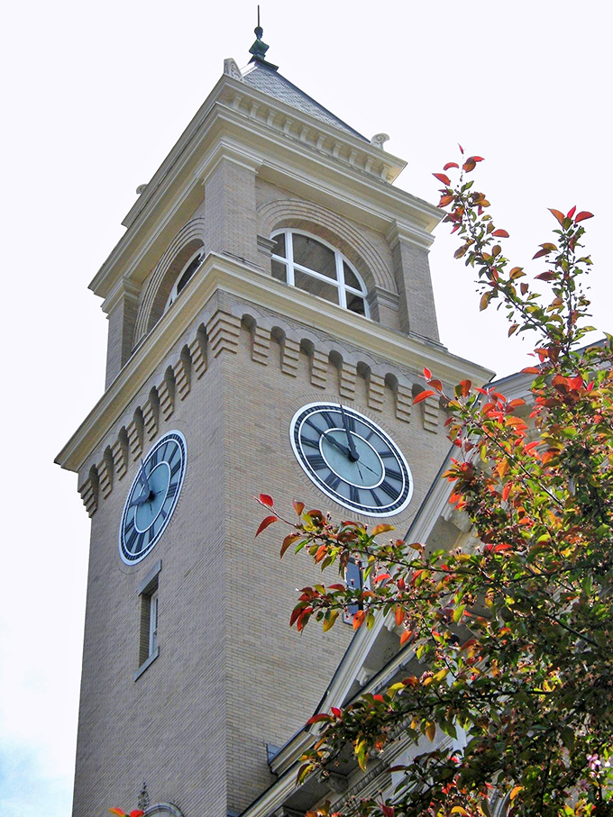Montpelier's clock tower reaches skyward against autumn foliage, marking time in a city where the pace of life remains refreshingly unhurried.