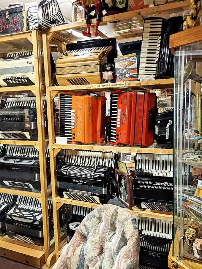 The museum's shelves groan under the weight of history, with accordions from different eras standing shoulder to shoulder like musical time travelers.