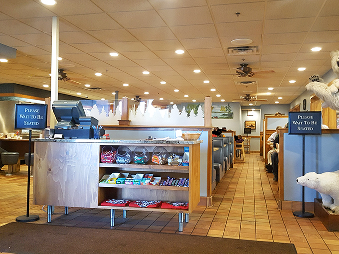 The counter area offers front-row seats to short-order cooking magic, where regulars exchange news over bottomless coffee cups.