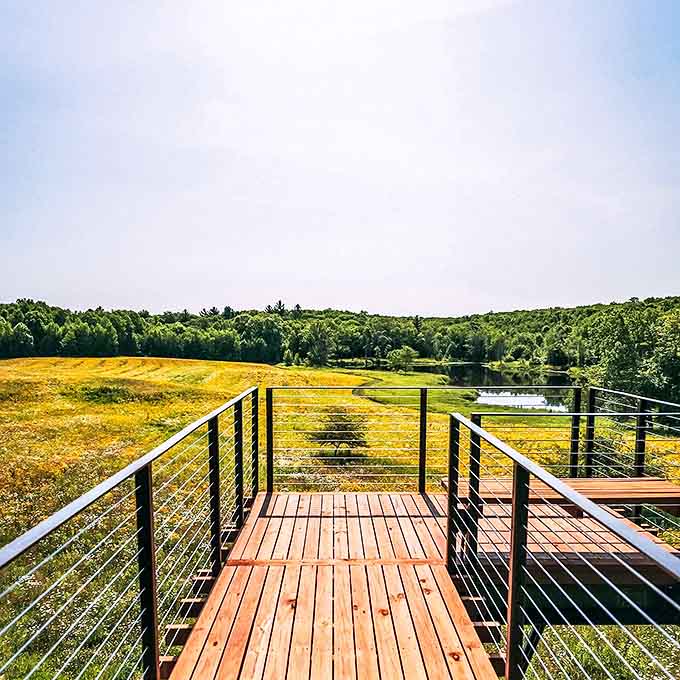 That deck stretches out over the meadow like a diving board into nature, with cable railings that keep you safe while keeping views unobstructed.