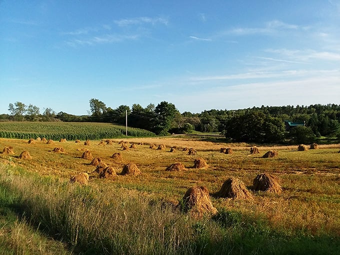Maine's pastoral landscape surrounds the market &ndash; a fitting backdrop for a shopping experience that connects visitors to a simpler way of life.
