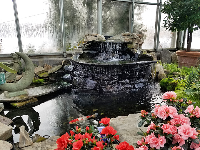 Even the fish have a better view than most restaurant patrons, living their best life in this tranquil garden oasis.