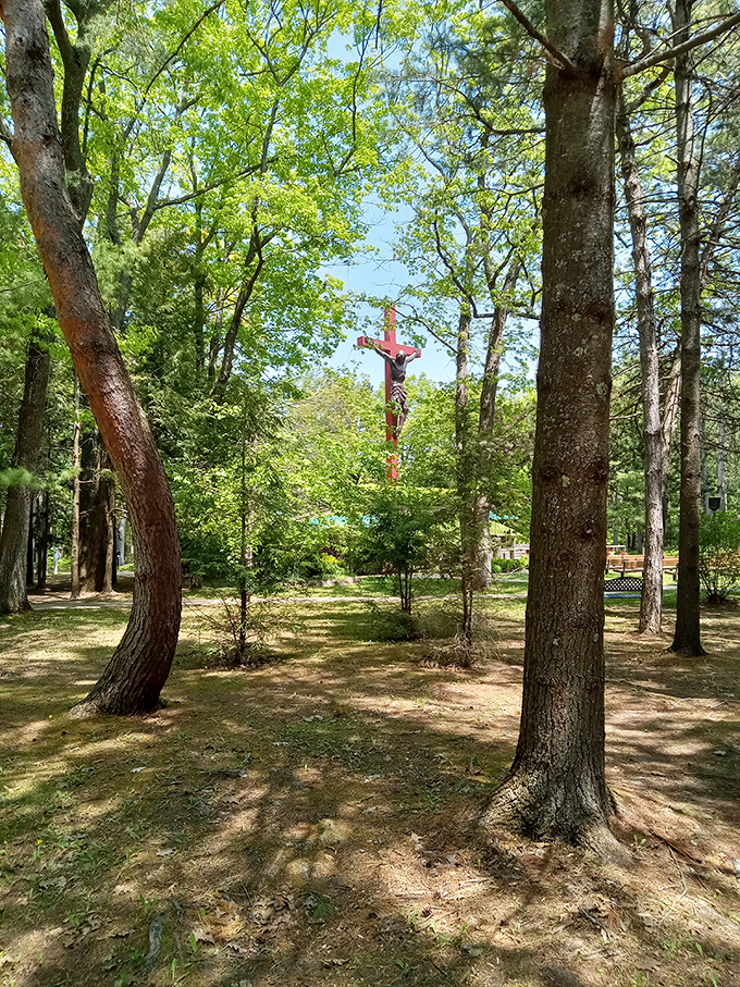 Glimpsed through the trees, the crucifix creates an unexpected moment of awe for hikers exploring the shrine's peaceful woodland paths.