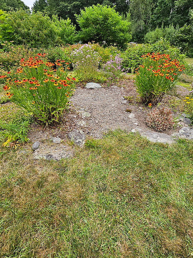 Helen's flower (Helenium) creates a sunset palette at ground level &ndash; nature's way of saying "orange you glad you came to visit today?"
