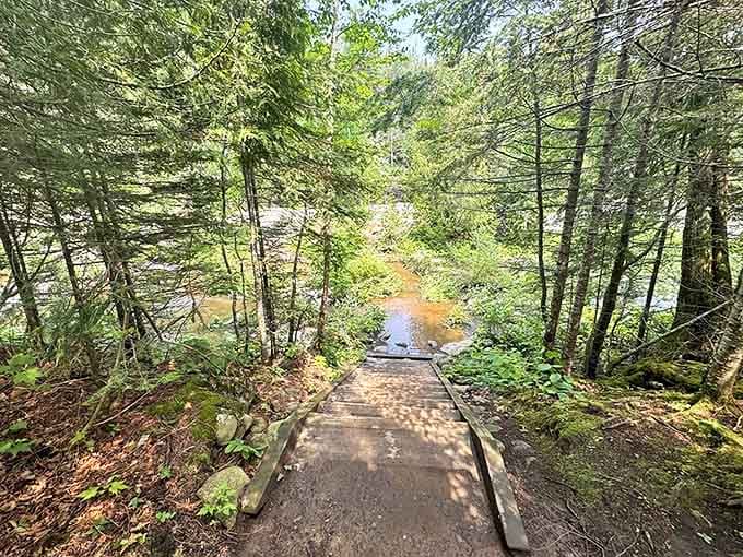 These steps lead down to Two Step Falls, where your thighs will complain but your eyes will thank you.