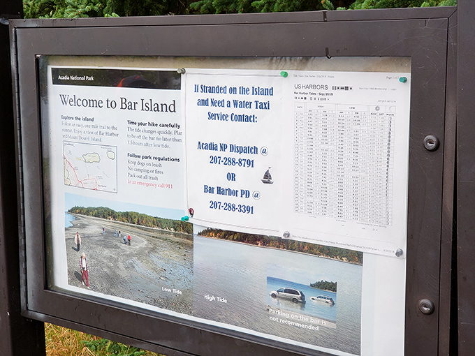 The information board that separates the prepared adventurers from tomorrow's rescue stories.