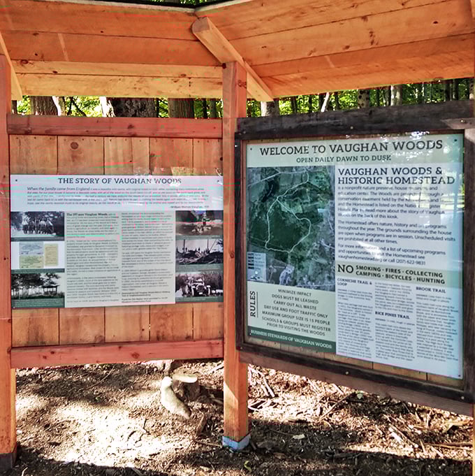 Every great adventure needs context &ndash; the information board reveals the human stories behind this seemingly magical woodland realm.