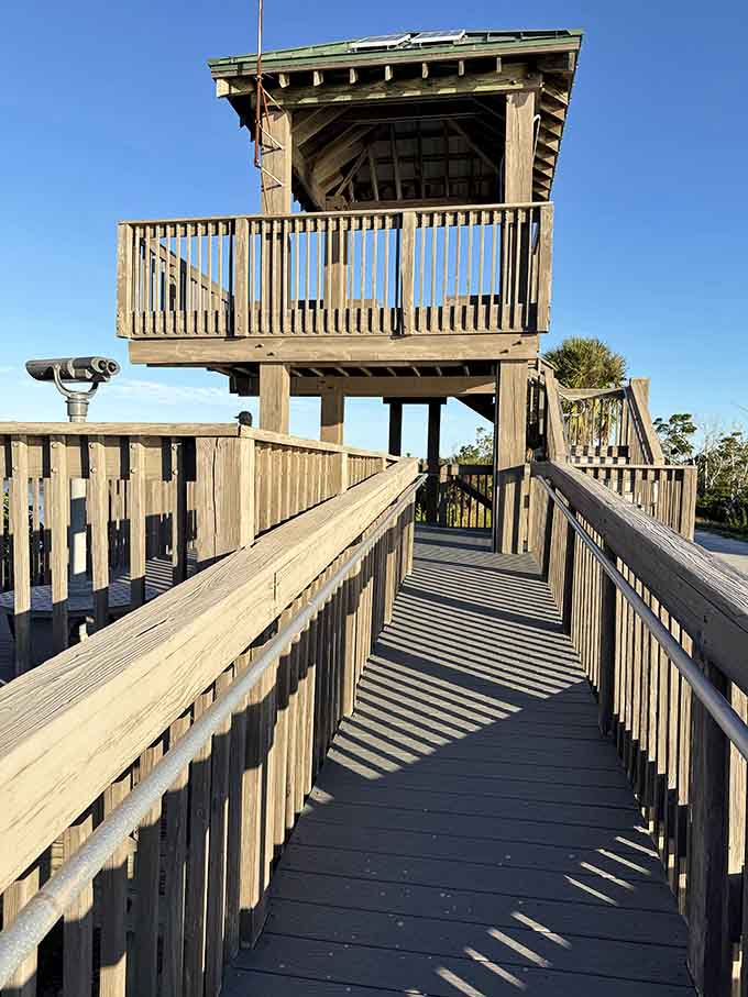 Climb high enough and you'll understand why birds spend so much time up here, the view is absolutely worth it.