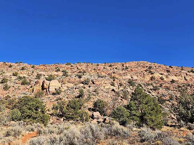Red rock formations and endless sky create the kind of view that makes you forget your phone exists.