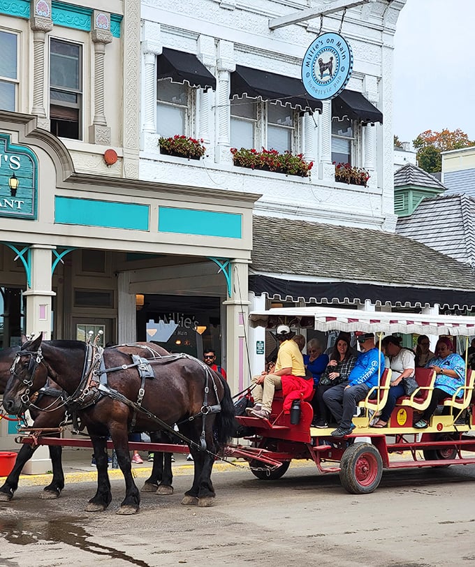Fee Park's magnificent trees have witnessed decades of Adrian history, their massive trunks and sprawling branches offering shade to generations of visitors.