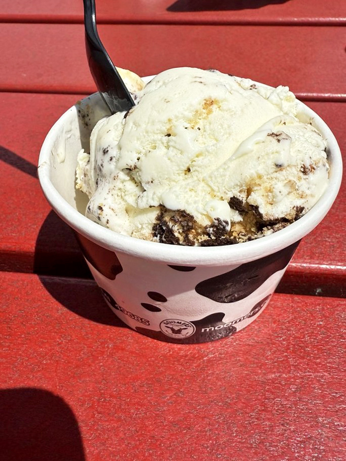 Oreo cheesecake ice cream in its natural habitat &ndash; a cow-spotted cup that hints at the dairy magic within. Cookies and cream evolved to its final form.