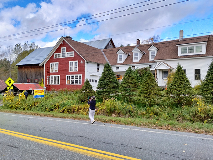 Classic New England architecture houses radical artistic vision &ndash; like finding experimental jazz playing inside your grandmother's cozy kitchen.