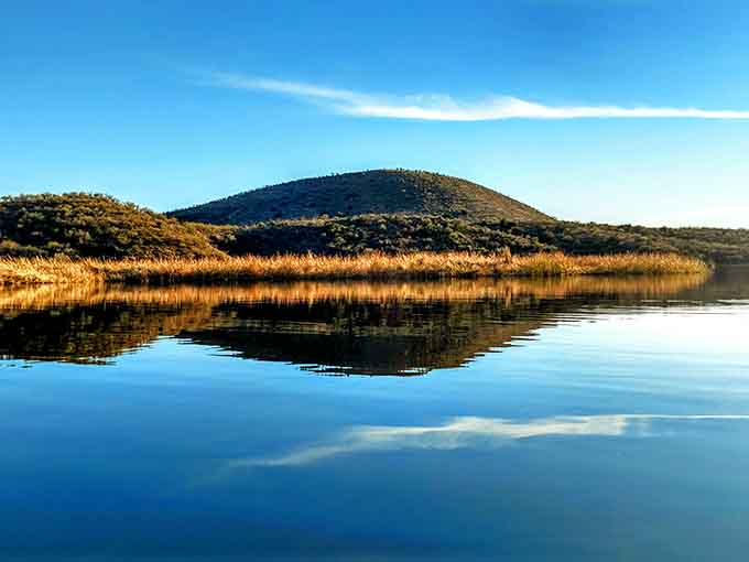 Mirror-like reflections prove that nature is the original Instagram filter, no editing needed here.