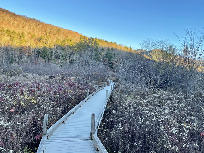 Fall paints Vermont's landscape with colors so vibrant they make your high-definition TV look like it's trying too hard.
