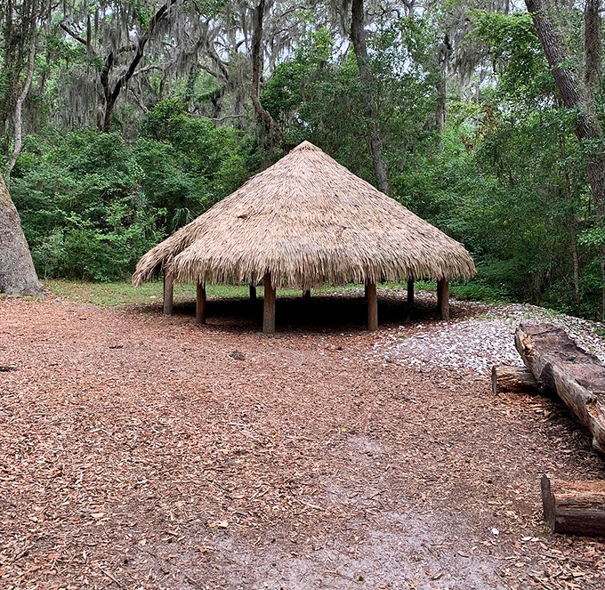 This meticulously recreated Timucuan council house demonstrates the sophisticated architectural knowledge of Florida's indigenous peoples, using only materials found in the surrounding environment.