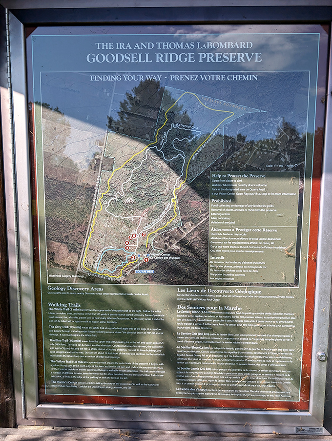 The preserve map reveals a treasure hunt where X marks not gold, but something far more valuable &ndash; windows into Earth's distant past.