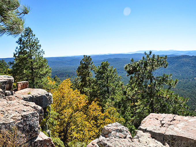 Fall colors pop against the evergreen backdrop, creating a painter's palette that rivals New England during the magical autumn months.