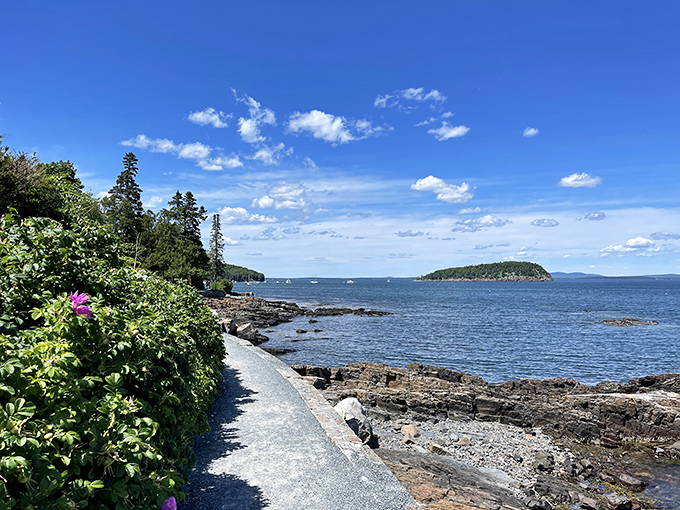 Spring flowers frame this section of trail, where the curve of the path draws your eye toward the endless blue beyond.
