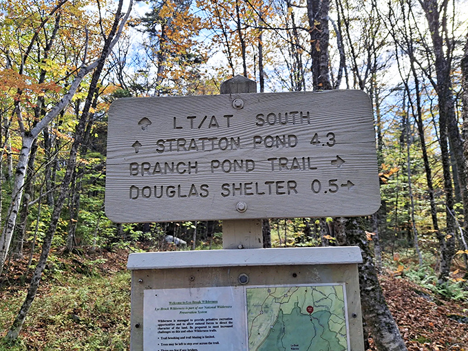 Trail signs point to adventures in all directions, each promising its own version of Vermont's woodland magic.