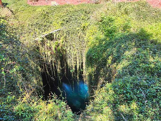 This sinkhole is basically Florida's way of saying "surprise, there's a whole other world down here" without any warning or permission slips required.