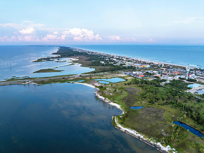 Bird's eye view of the peninsula showcases the unique geography that makes this coastal region so ecologically diverse.
