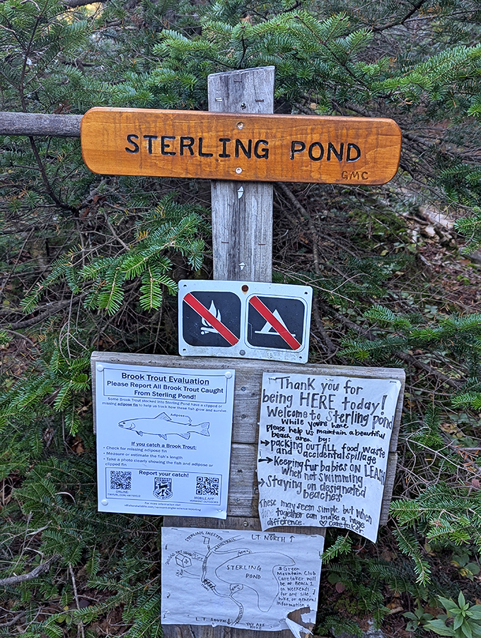 Handwritten trail notices have more personality than any GPS app &ndash; and they never need charging.