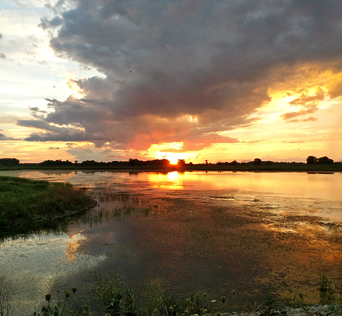 Nature's grand finale: The sun takes its final bow over Shiawassee's waters, painting the sky in impossible shades of gold and crimson.