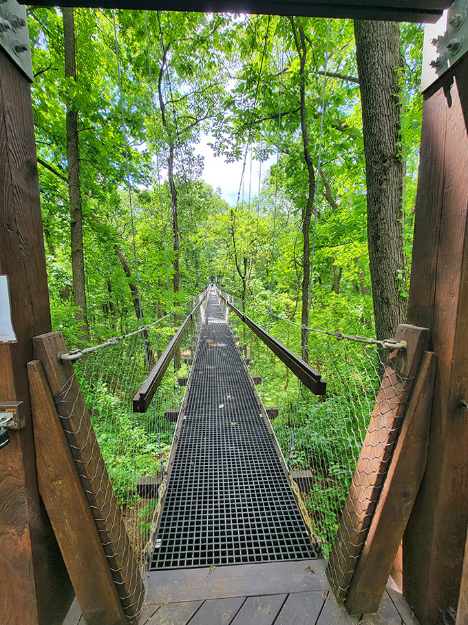 Cross this charming bridge and feel momentarily suspended between earth and sky, with Michigan's natural beauty stretching out in all directions.