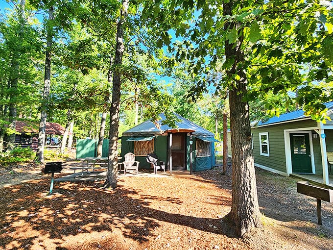 Glamping tent that makes regular camping look like a punishment from a particularly creative judge.