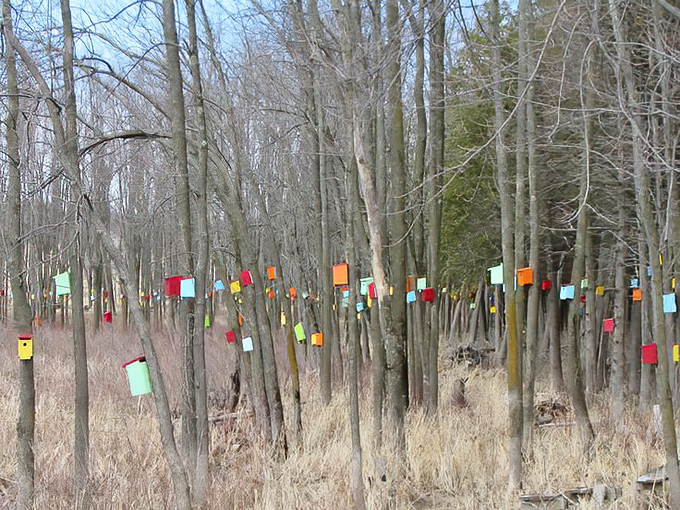The "Jelly Bean Suites" offer premium accommodations for discerning swallows, with convenient access to all-you-can-eat mosquito buffets.