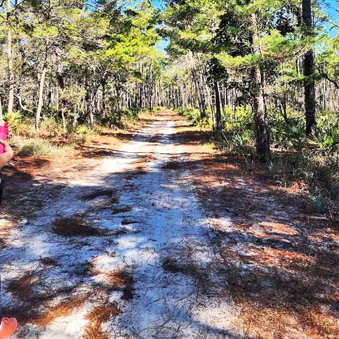 This trail doesn't just lead somewhere &ndash; it takes you somewhen, back to old Florida before condos and crowds.