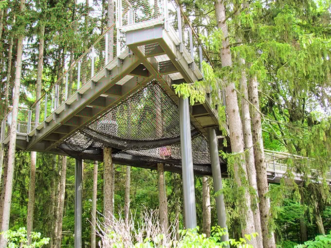 Suspended netting beneath the platform invites brave souls to experience weightlessness among the trees, forest floor far below!