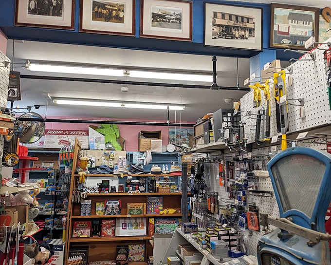 Every shelf tells a story of careful curation, where practical necessities share space with unexpected treasures waiting to be discovered.