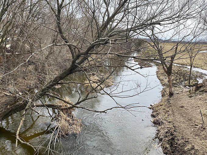 The bridge frames nature's artwork &ndash; seasonal landscapes that change like gallery exhibitions throughout the year.