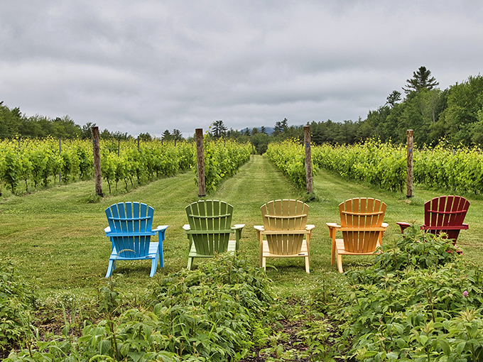 Vineyard: Rainbow-hued Adirondack chairs invite wine lovers to sit, sip, and soak in vineyard views that improve with every glass.