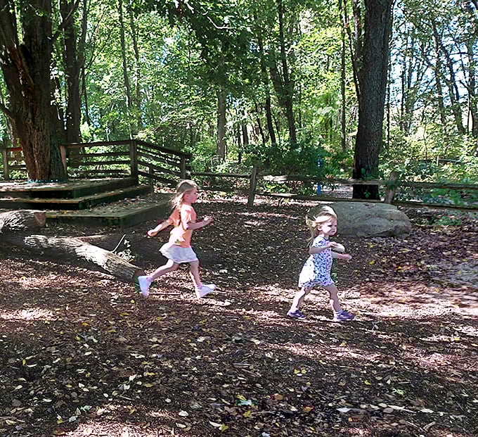 Children dash through dappled sunlight at Sarett Nature Center, their laughter mingling with birdsong in nature's perfect playground.