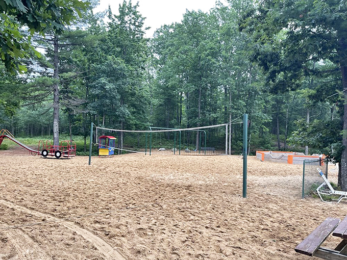 The volleyball court awaits your best "Top Gun" moments or, more realistically, your enthusiastic flailing while sand gets everywhere.