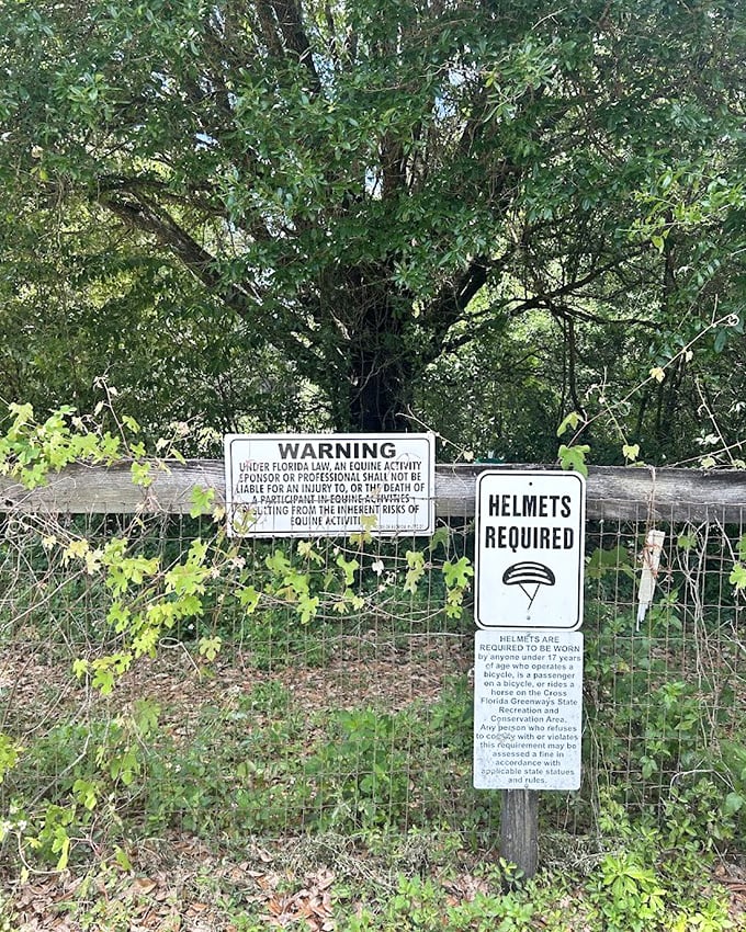 Safety first! These signs remind visitors that even paradise has rules &ndash; helmets and common sense strongly encouraged.
