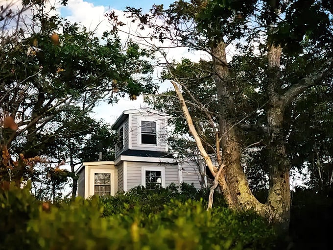 Glimpses of a private island cottage peek through the trees, hinting at the secluded paradise that could become your family's own Maine retreat.