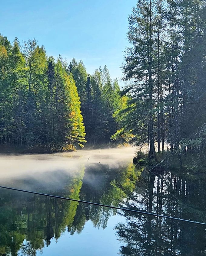 Dawn at the Big Spring brings a mystical fog that dances across the water's surface &ndash; arrive early to catch this magical show.