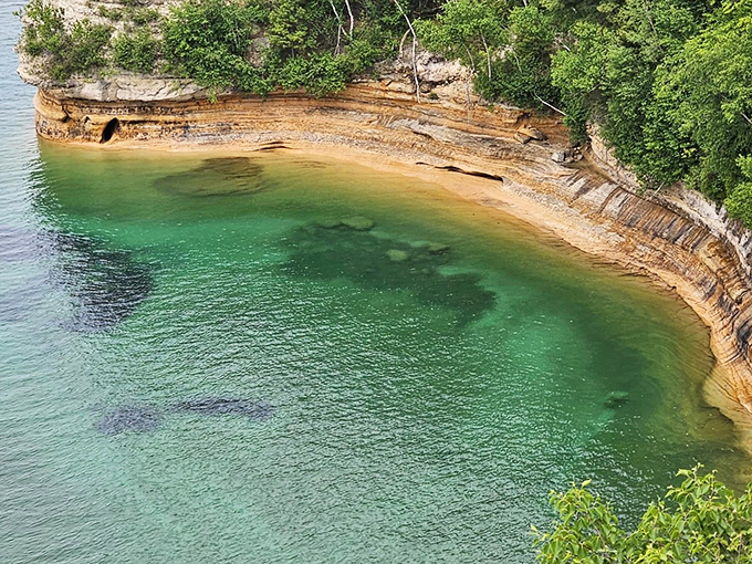This secluded beach cove offers a perfect resting spot, where forest meets shore in a harmonious blend that feels like nature's version of a luxury resort.